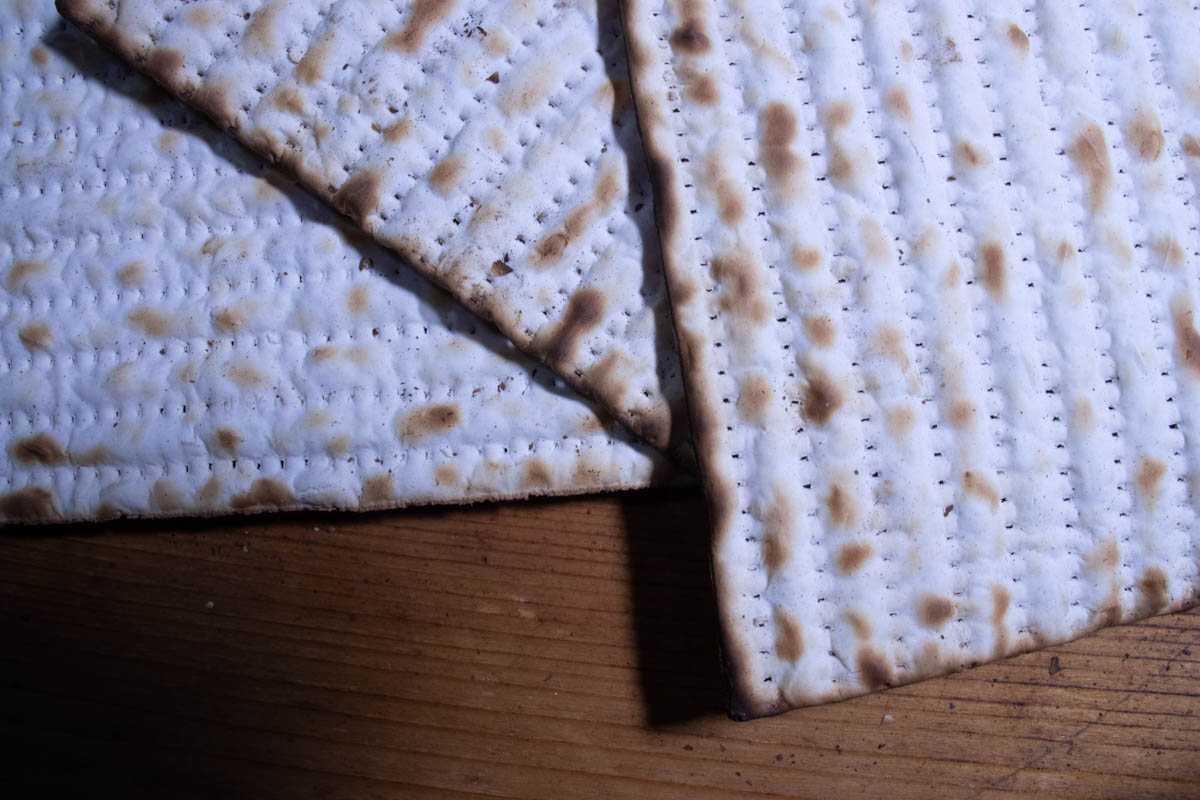 Blog – Terra Manna Bread School